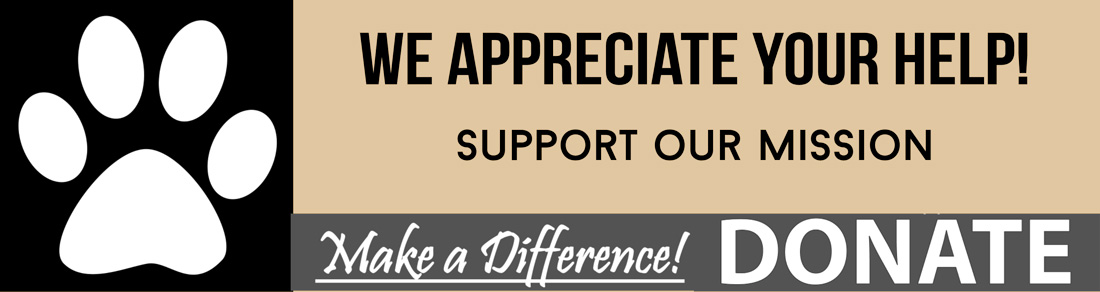 LMC Donation – Liberation Mission For Christ